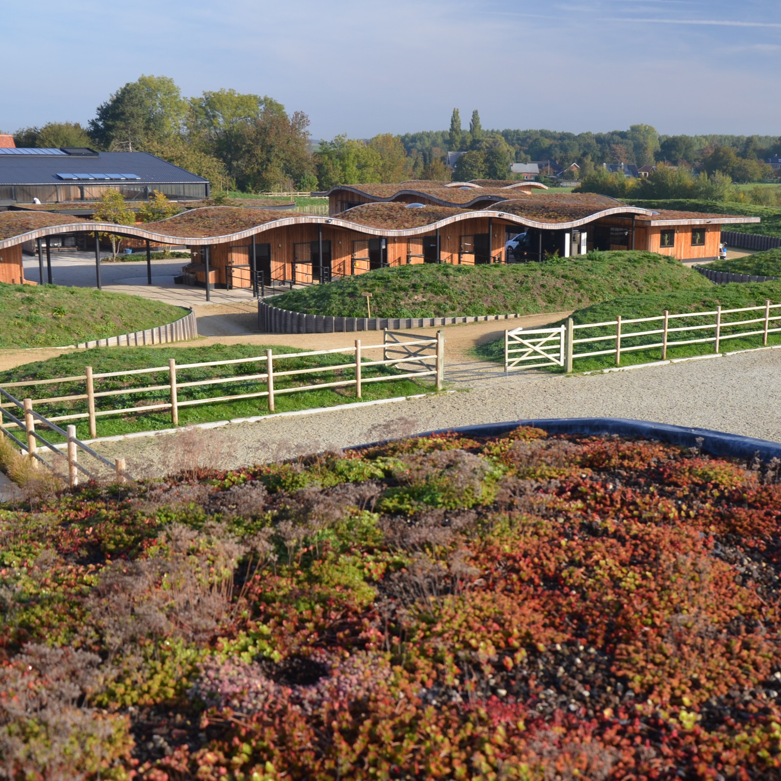 ECOECURIE a entièrement végétalisé l'écurie Aquila Farm situé en Belgique