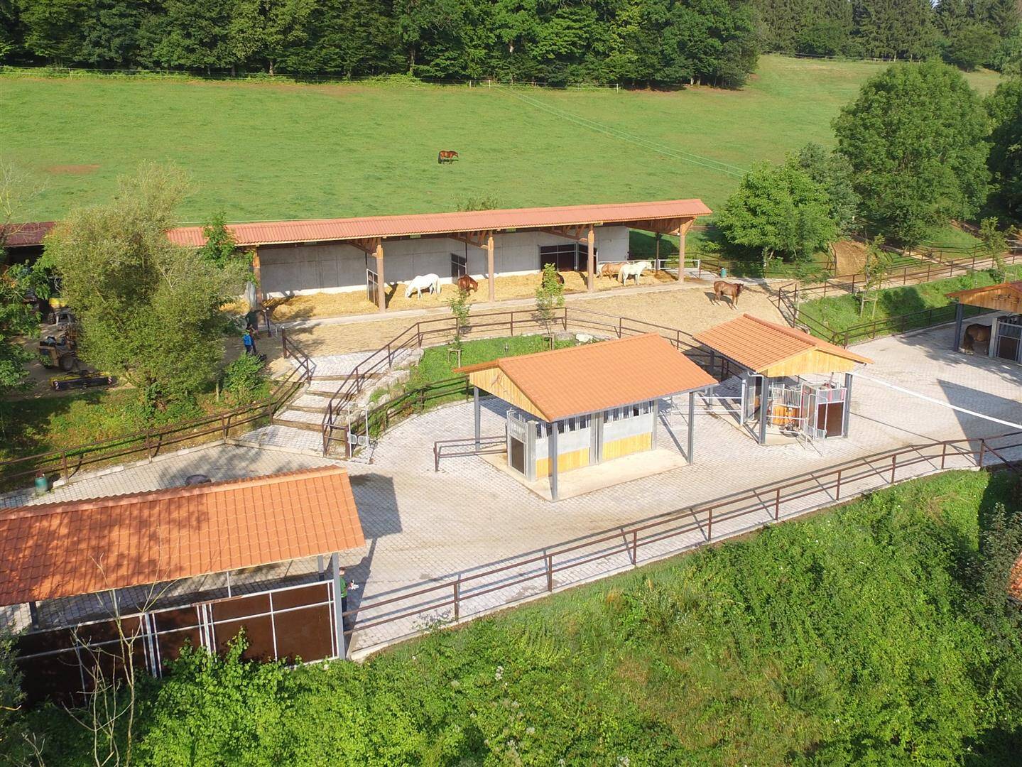 Blog Ecuries Actives ECOVEGETAL SCHAUER - Eco Ecurie